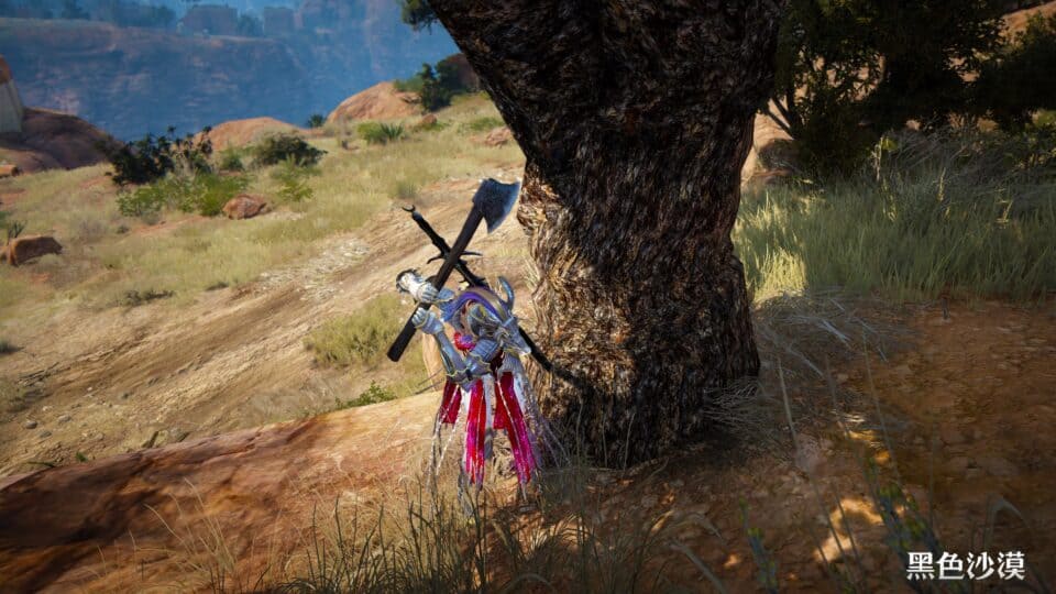 Black Desert Online Ultimate Silver Guide