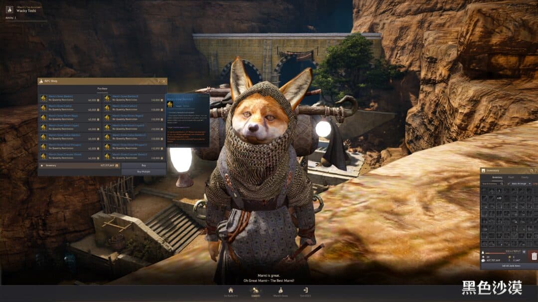 Black Desert Online Leveling Guide: The Fastest Way to Reach Level 62+