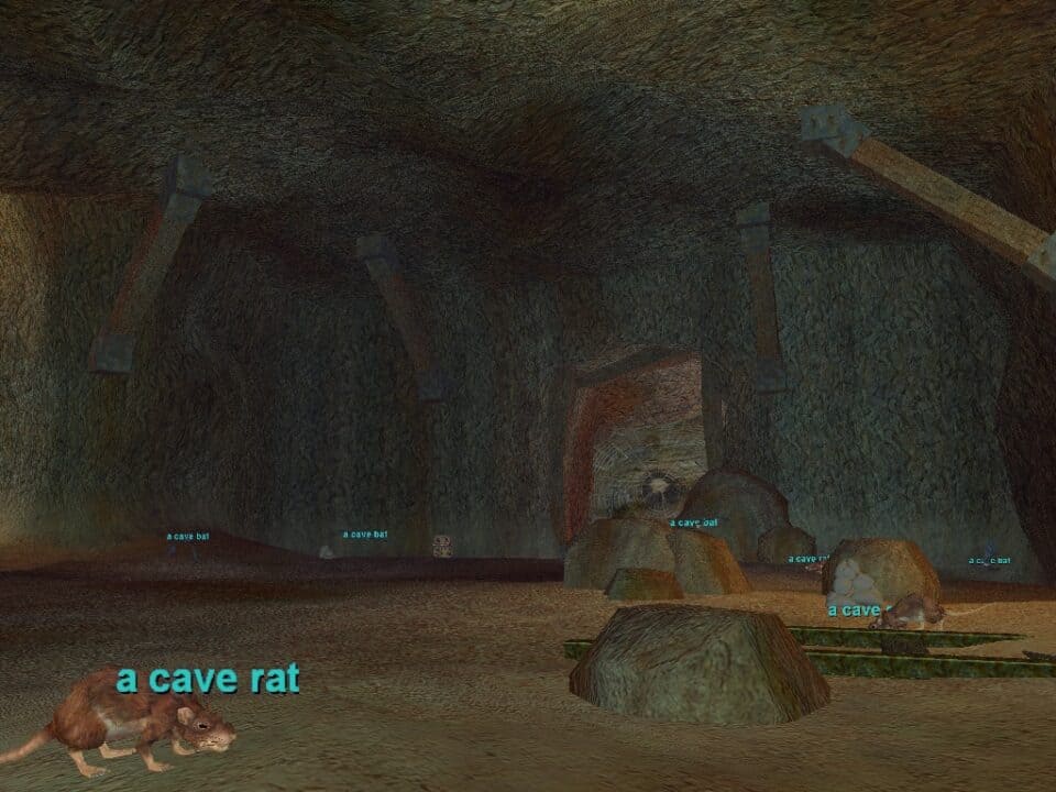 Beginner's Guide to EverQuest